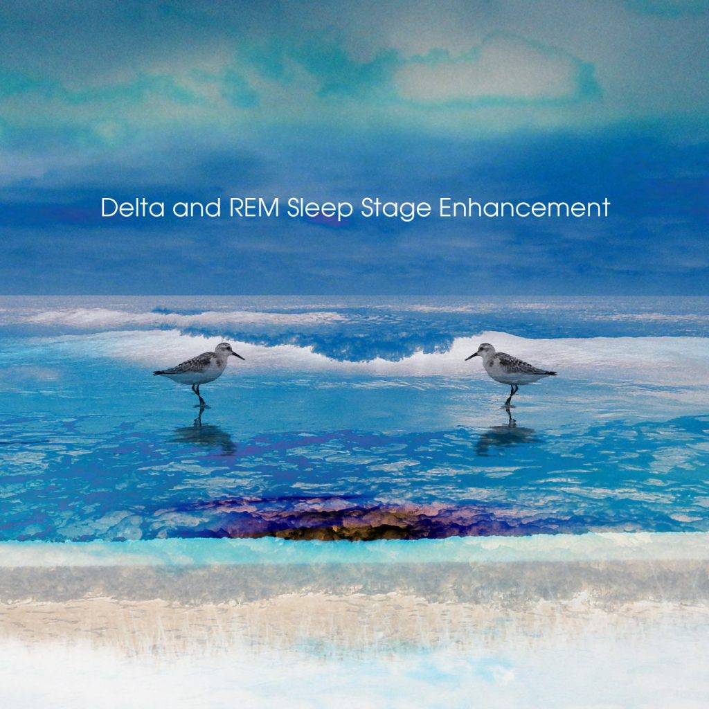 Delta and REM Sleep Stage Enhancement – Tracy DeMarco